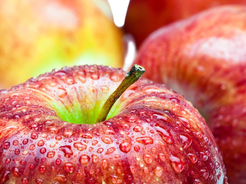 Red apple close up stock image. Image of nutrition, harvest - 26790741