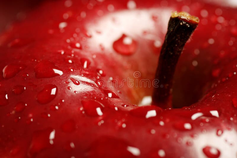 Red apple close up stock photo. Image of edible, meal - 4418828