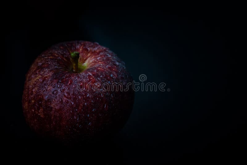 Red apple stock photo. Image of fruit, exported, agriculture - 89681650