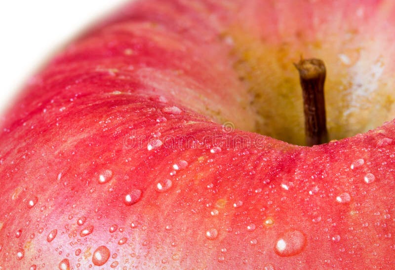 Red apple close-up stock photo. Image of bright, delicious - 65913778