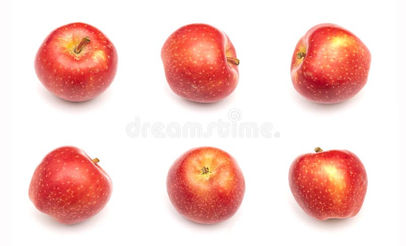 Apple Collage stock photo. Image of backdrop, wall, wood - 12672870