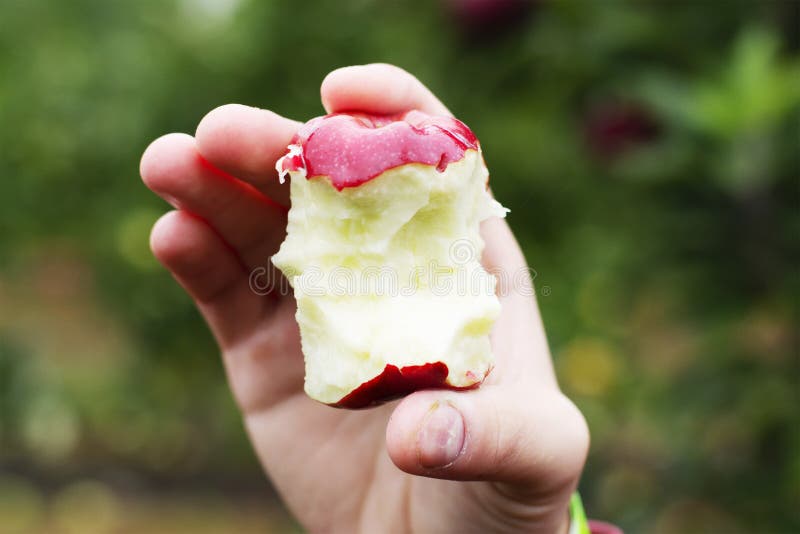 Red Apple Core Being Held in One Hand Stock Photo - Image of beautiful ...
