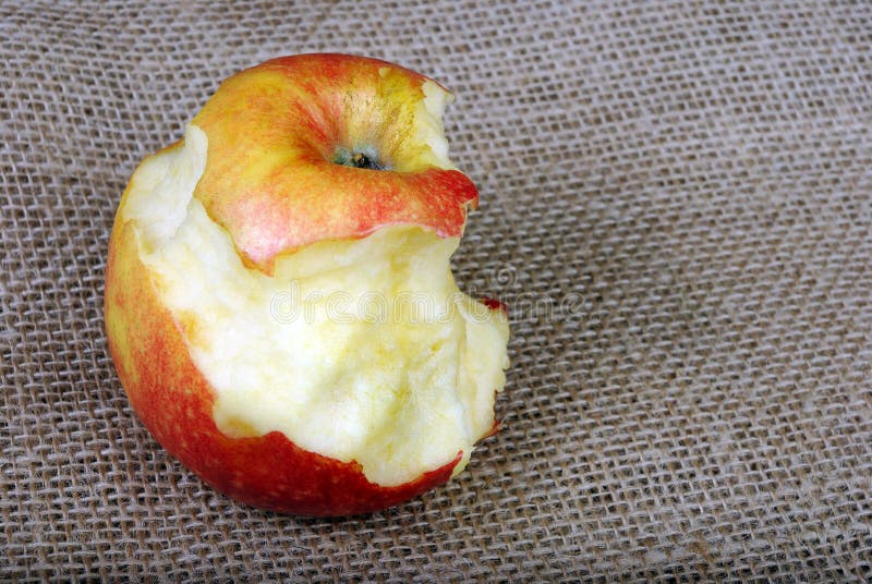 Red apple core close up stock photo. Image of eating - 137704620