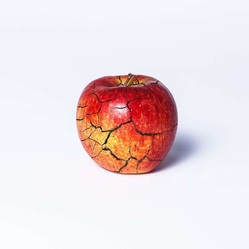 Cracked red apple stock image. Image of cracked, eden - 101726407