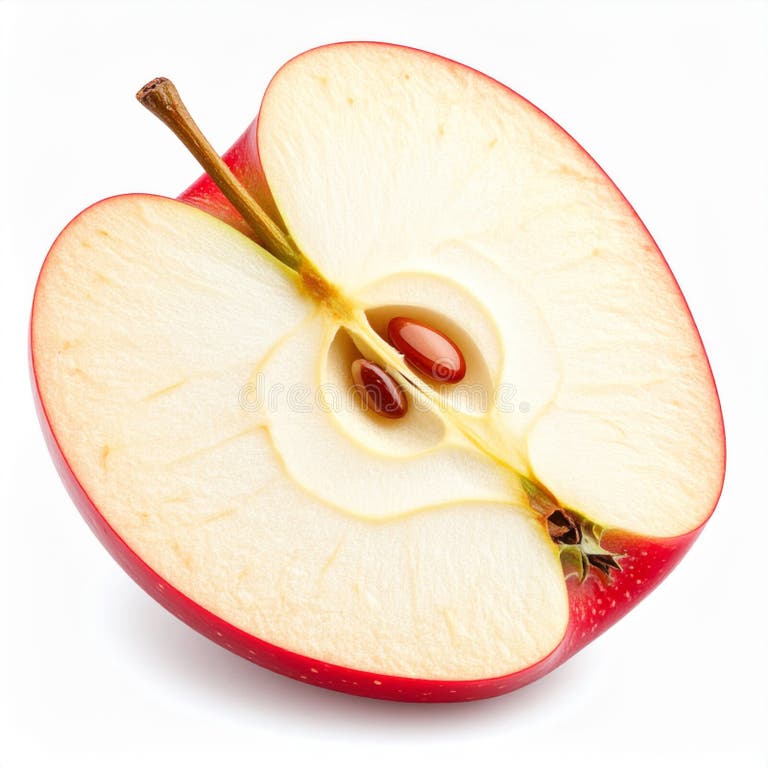 Red Apple Cross Section on White Background Stock Illustration ...