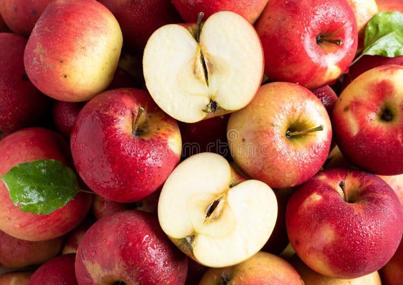 Red Apple Cultivar Jonathan Group Stock Image - Image of tree, citrus ...