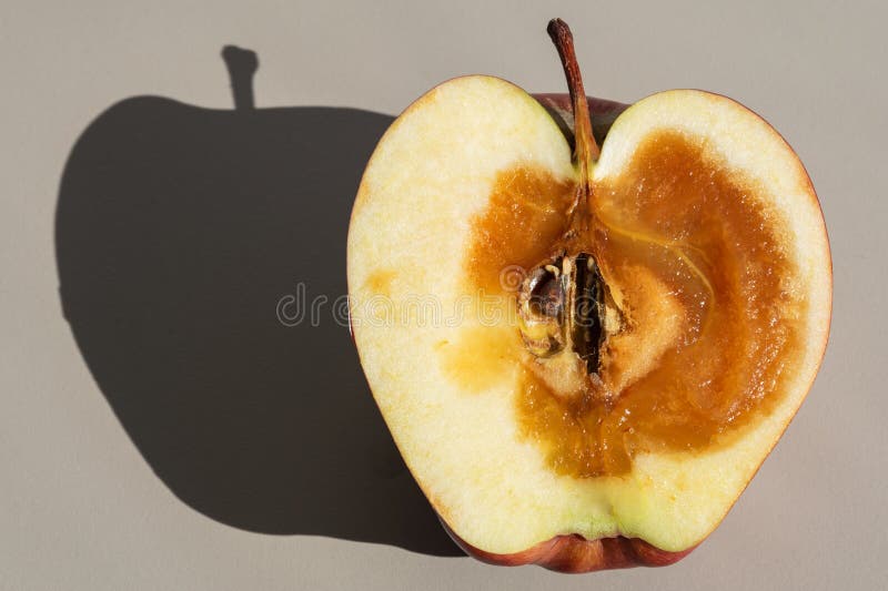 Red Apple Cut in Half with a Rotten Core and Brown Spoiled Decayed ...