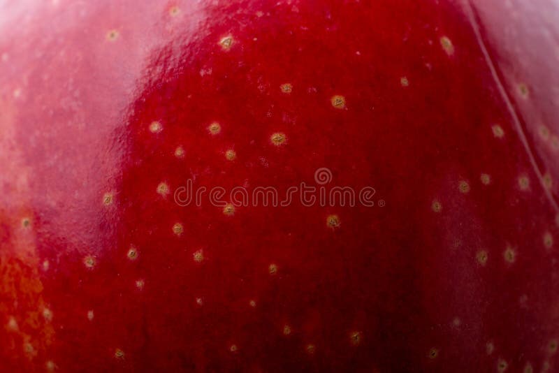 Fresh Red Apple with Dots in Close Up View Stock Photo - Image of ...