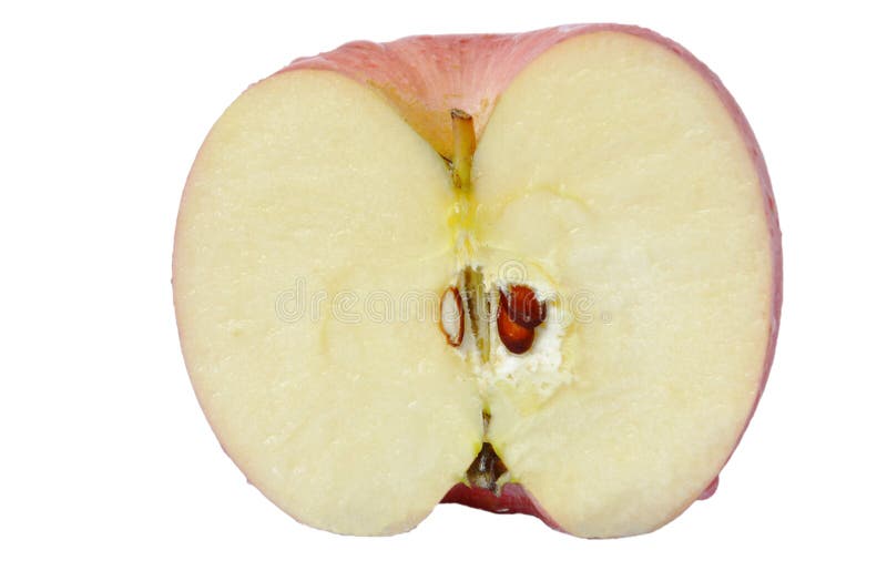 Apple Calyx Stock Photos - Free & Royalty-Free Stock Photos from Dreamstime