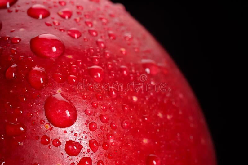 Red Apple Drops Picture. Image: 2440792