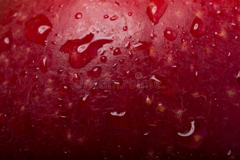 Red apple with drops stock image. Image of fresh, juicy - 128444949