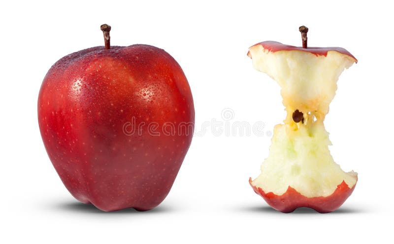 Red apple eaten to core stock image. Image of fruit, apple - 20009173