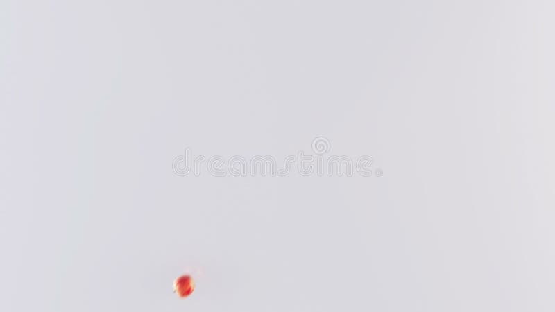 Red Apple Flow Transition with Mask Isolate Stock Video - Video of ...