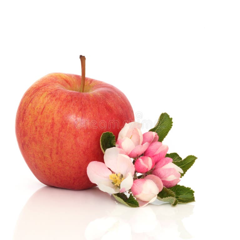 Red Apple and Flower Blossom Stock Image - Image of diet, royal: 15803393