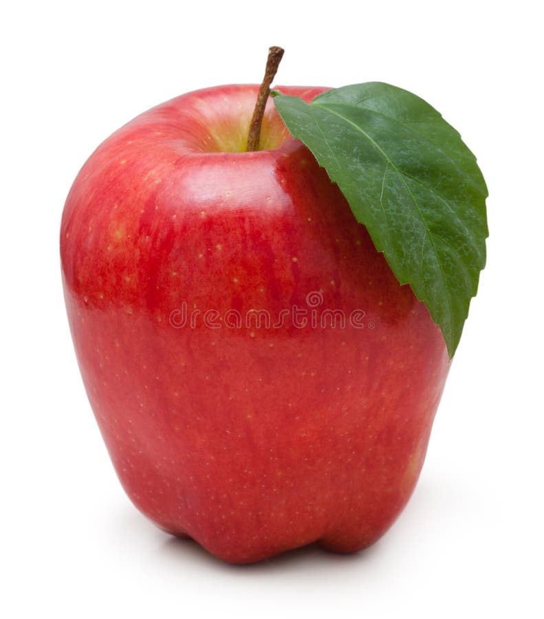 Red apple fruit stock photo. Image of garden, bright - 37602550