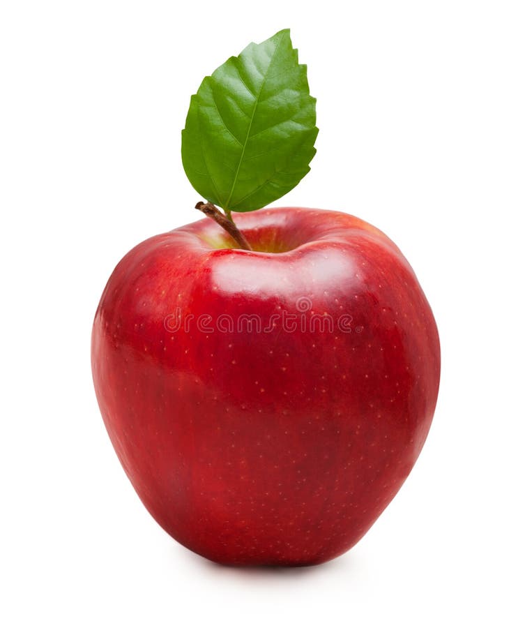 Red apple stock photo. Image of healthy, food, nature - 3134376