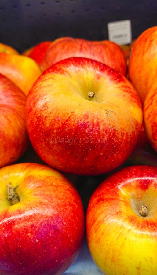 Red Apple in the Fruit Layer Stock Image - Image of color, tasty: 113066475