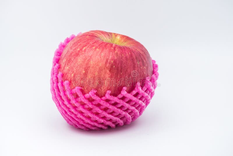 Fruit Protection Foam,mango Stock Photo - Image of natural, mango: 47156438