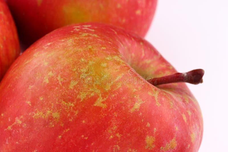 Red Apple Fuji Grade on a White Background Stock Photo - Image of ...