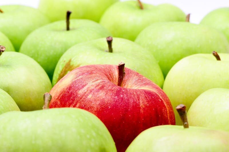Red apple in green apples stock photo. Image of fruit - 8061378