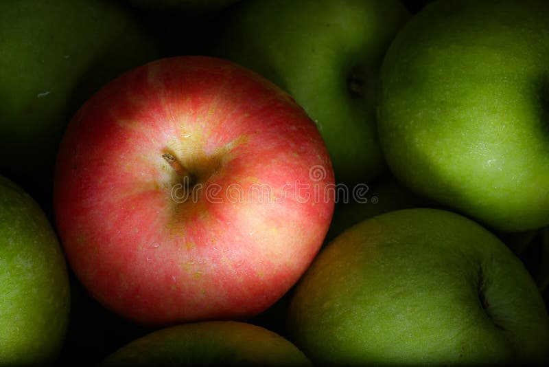 Red Apple among Green Apples Stock Image - Image of fluite, shadow ...