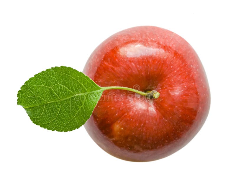 Apples Fruit Png
