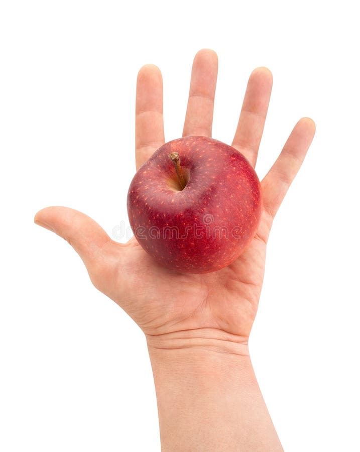 Red apple on hand palm stock image. Image of isolated - 259677055