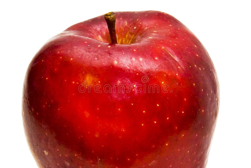 Red Apple stock photo. Image of delicious, crunchy, shiny - 71288