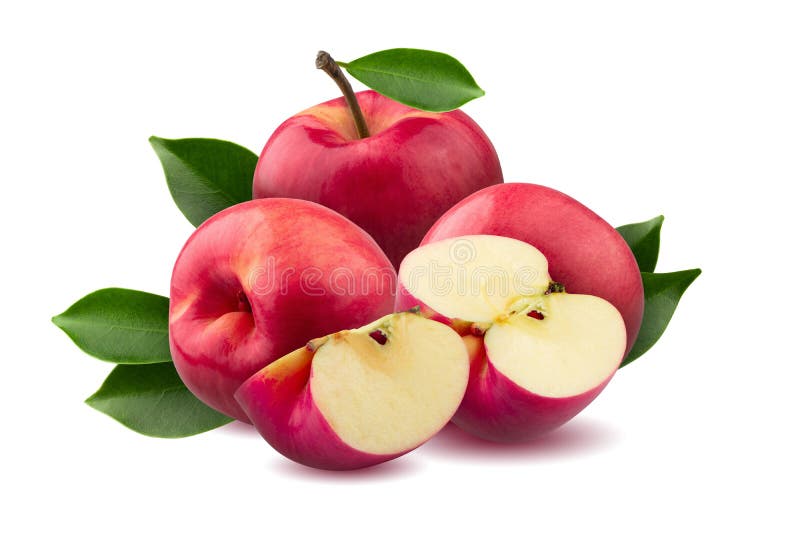 Apple Alpha Stock Photos - Free & Royalty-Free Stock Photos from Dreamstime