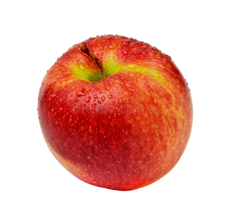 Red apple isolated stock image. Image of healthy, lunch - 63611959