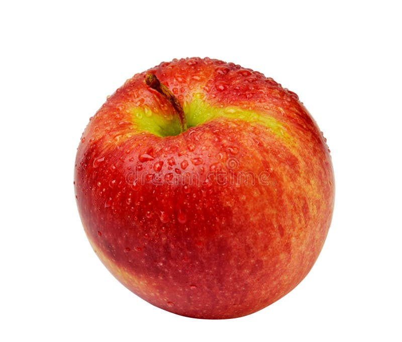 Red apple isolated stock photo. Image of gourmet, isolated - 63744336