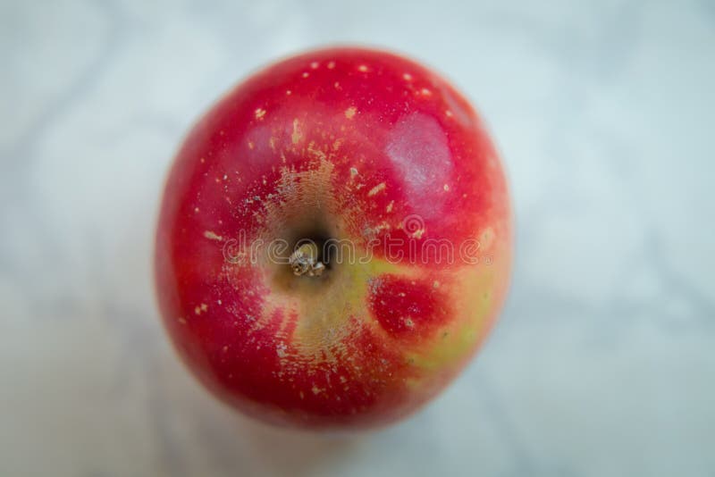 Red Apple Over White Background Visible from Above.Single Red Ripe ...