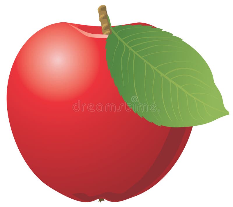 Apple Pink Lady stock vector. Illustration of market, detailed - 9282856