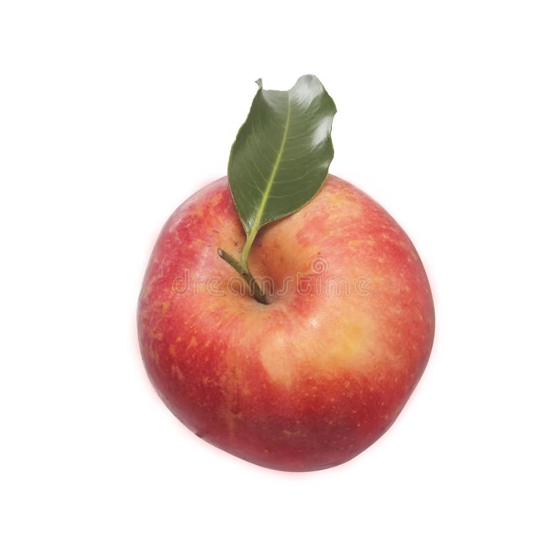 Red Apple isolated stock image. Image of leaf, fruit - 54961851