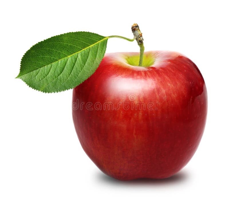 Red apple stock image. Image of single, healthy, closeup - 17770223