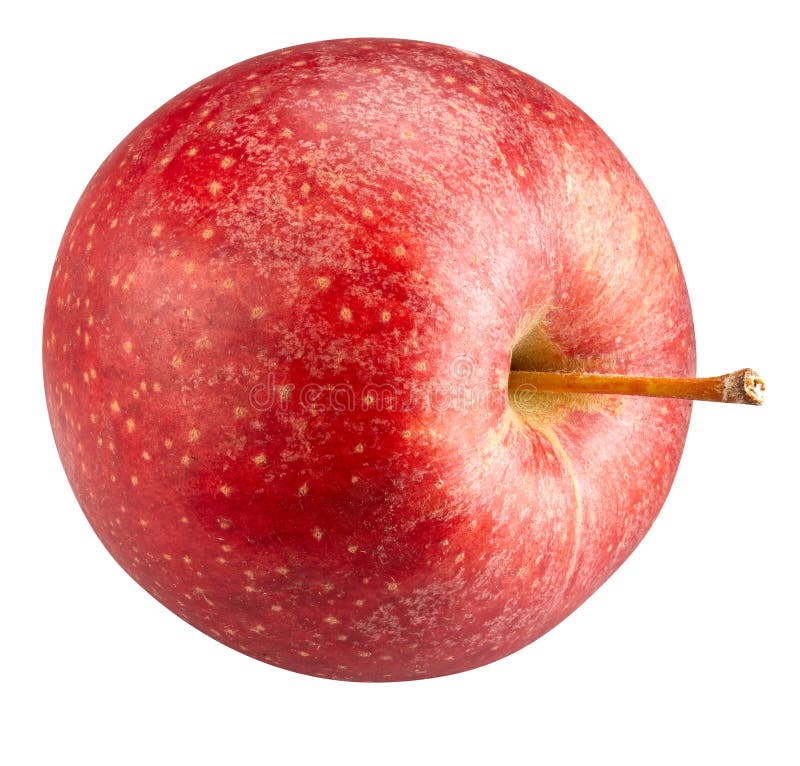 Red Apple Isolated on White Stock Photo - Image of nature, food: 128477700