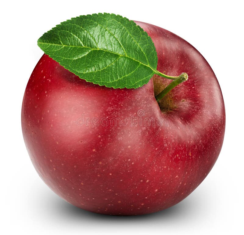 Red Apple Isolated on White Stock Image - Image of rippled, healthy ...