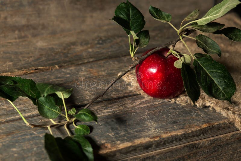 Red Apple with Leaves on Burlap on Wooden Boards Stock Photo - Image of ...