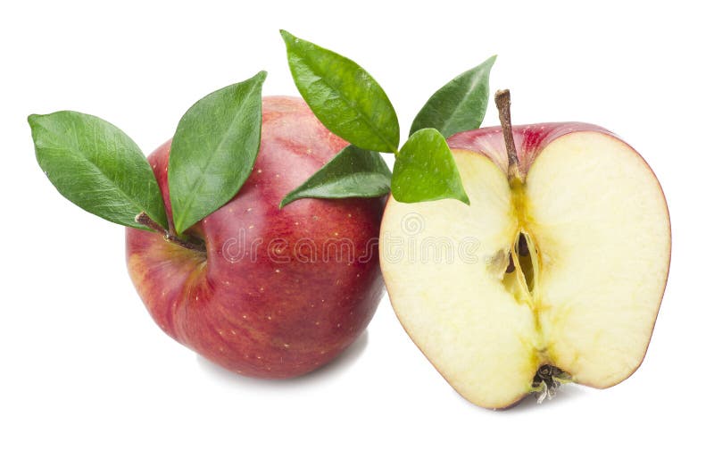 Red apple stock photo. Image of freshness, summer, agriculture - 41285294