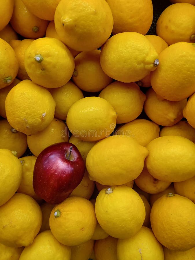 A red apple among lemons stock image. Image of apple - 243082001