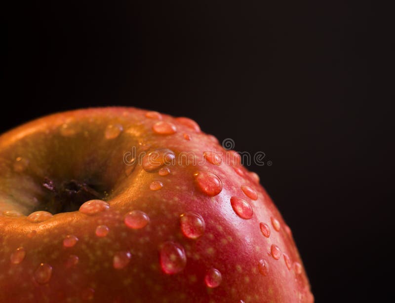 Red apple. Macro stock image. Image of ecosystem, freshness - 67925073