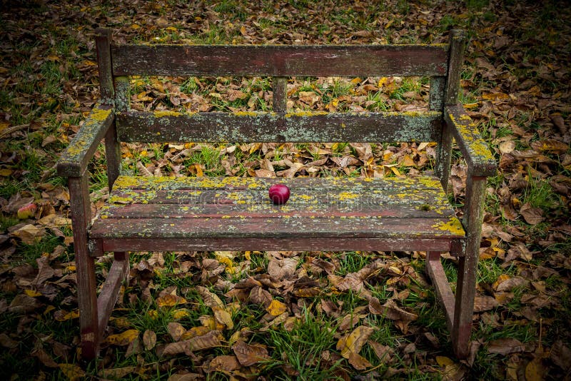 Red apple stock photo. Image of bench, organic, colorful - 60890526