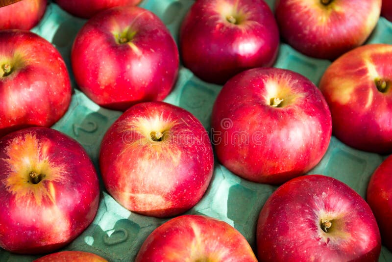 Red apple in pack stock image. Image of stack, seed, paper - 82354057
