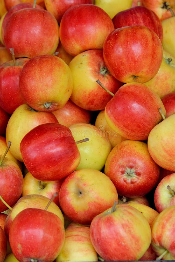 Red apple pattern stock image. Image of fruit, pattern - 36349965