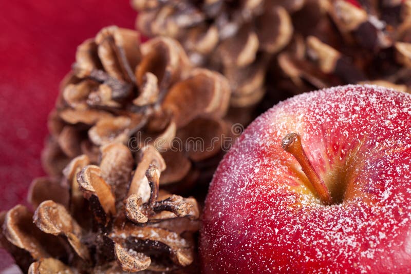 Red apple and pine cones stock photo. Image of card, days - 26068868