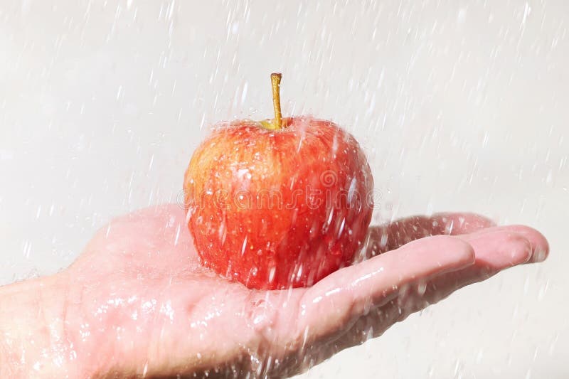 Red apple in rain stock image. Image of vegan, food - 283591349