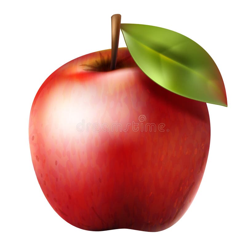 Red apple stock vector. Illustration of natural, delicious - 50725223