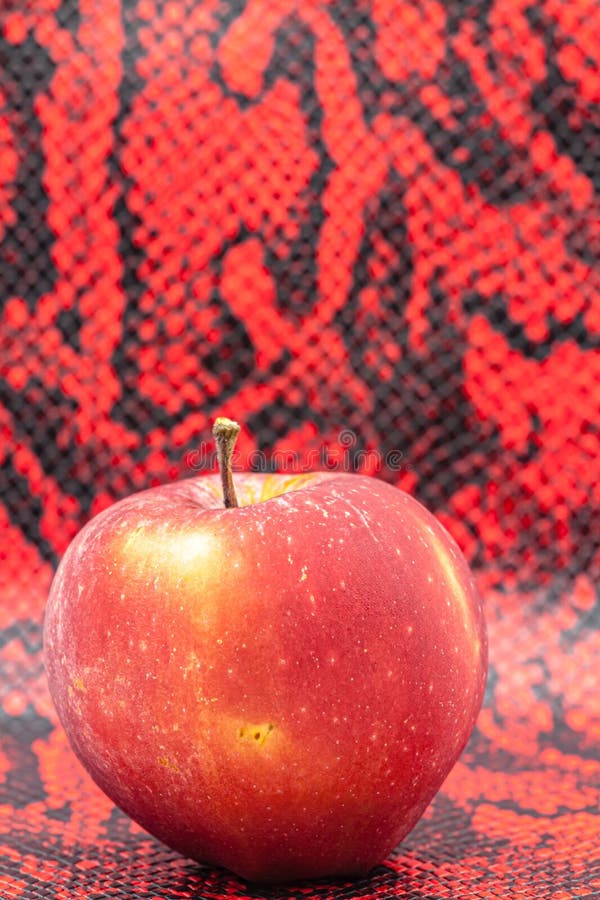 Apple and snakeskin stock image. Image of dangerous - 312484113