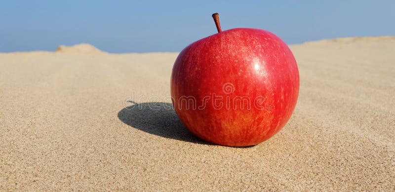 Red Apple on the Sand in the Desert. Stock Image - Image of ripe, fresh ...