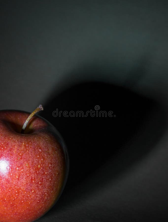 Apple and it s shadow stock photo. Image of braeburn - 11110562